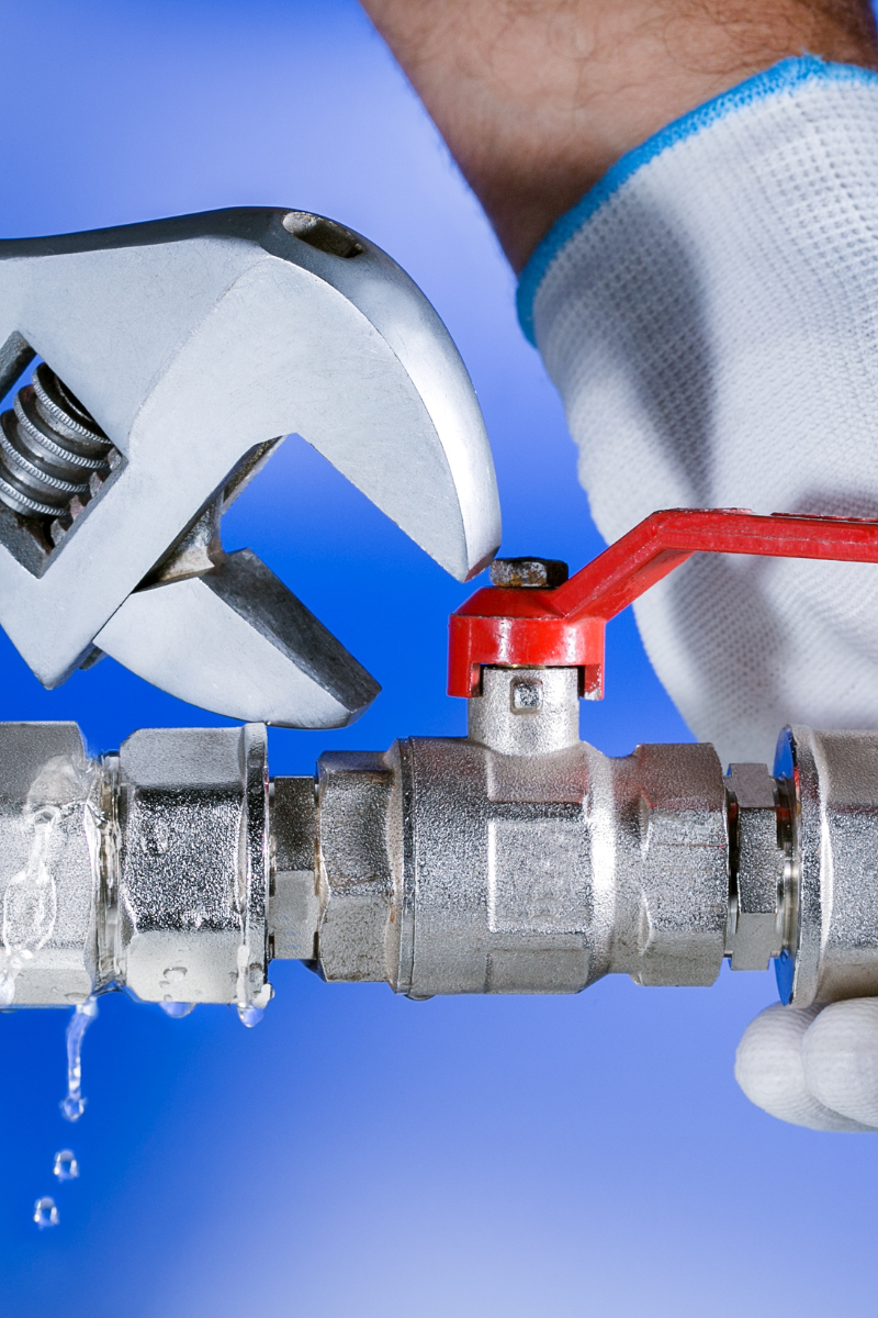 Unlocking The Potential: Garage Conversion Plumbing And Electrical ...